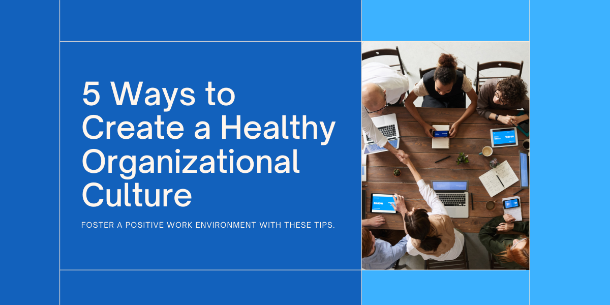 5 Ways To Create Healthy Organizational Culture